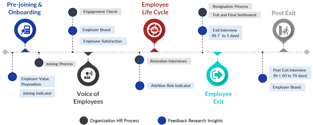 Employee Research – Feedback Insights